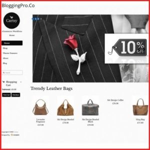 Woocommerce » BloggingPro